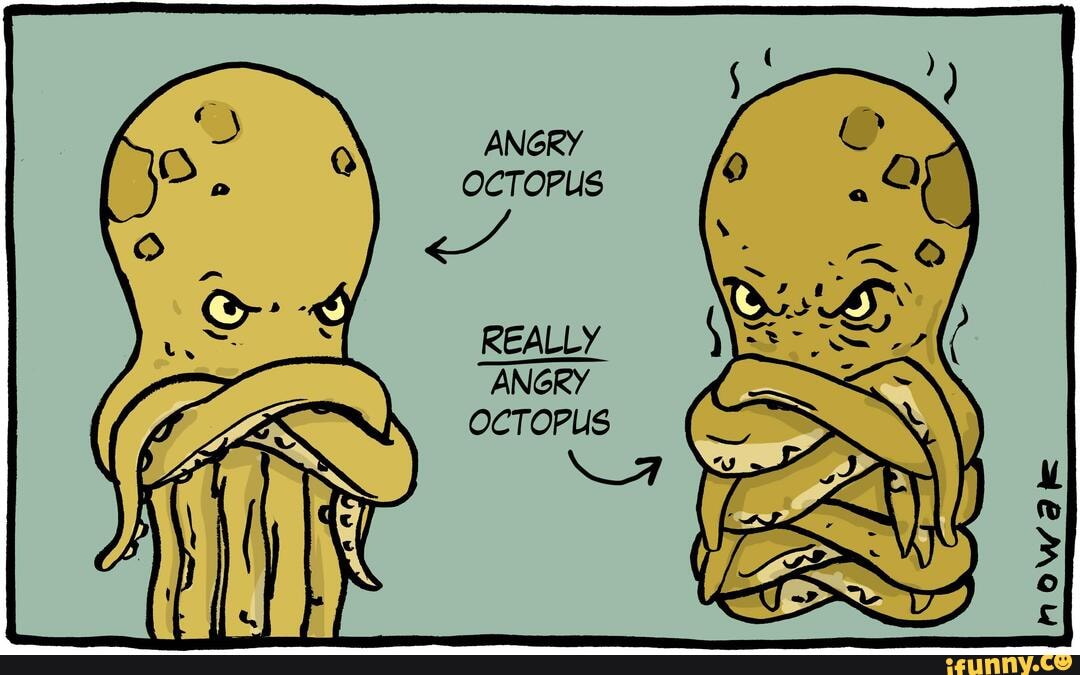 ANGRY OCTOPUS REALLY ANGRY OCTOPUS - iFunny