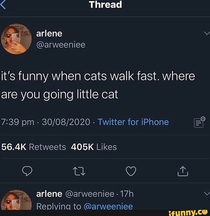 Arlene memes. Best Collection of funny Arlene pictures on iFunny
