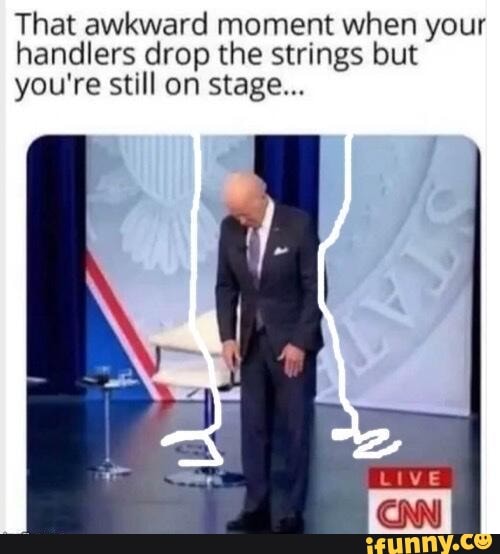 That awkward moment when your handlers drop the strings but you're ...