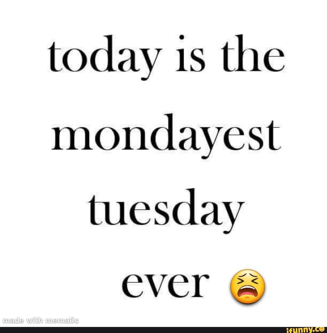 Mondayest memes. Best Collection of funny Mondayest pictures on iFunny