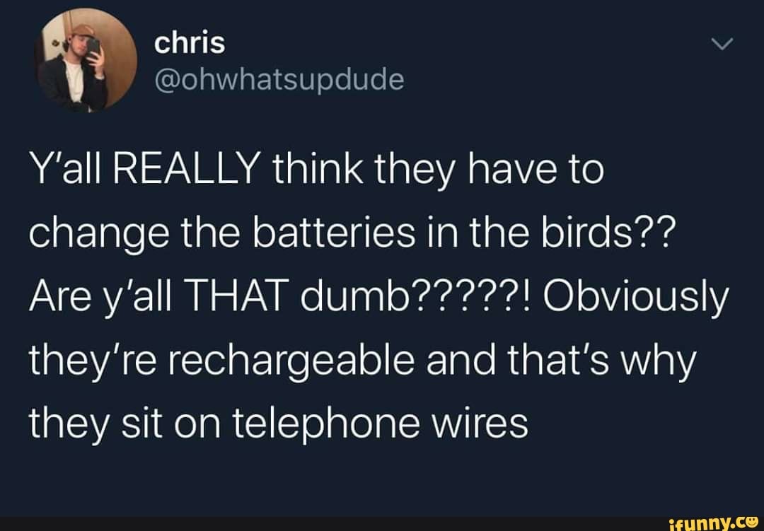 Bawk_bawk memes. Best Collection of funny Bawk_bawk pictures on iFunny