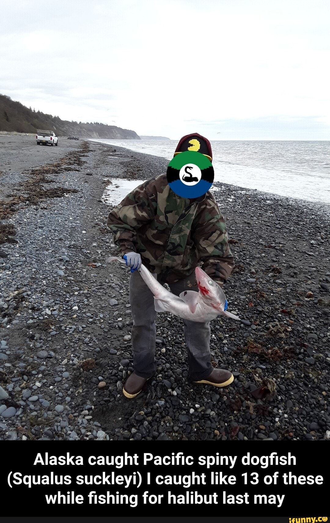 Dogfish memes. Best Collection of funny Dogfish pictures on iFunny