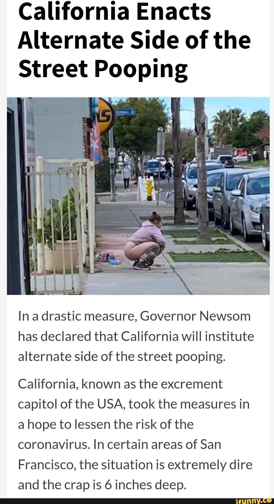 California Enacts Alternate Side of the Street Pooping Ina drastic ...