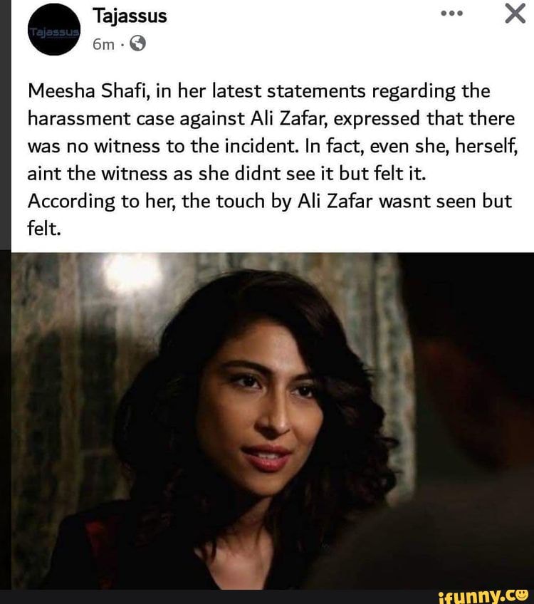 Meesha Shafi Baby