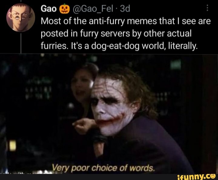 Most of the anti-furry memes that I see are posted in furry servers by ...