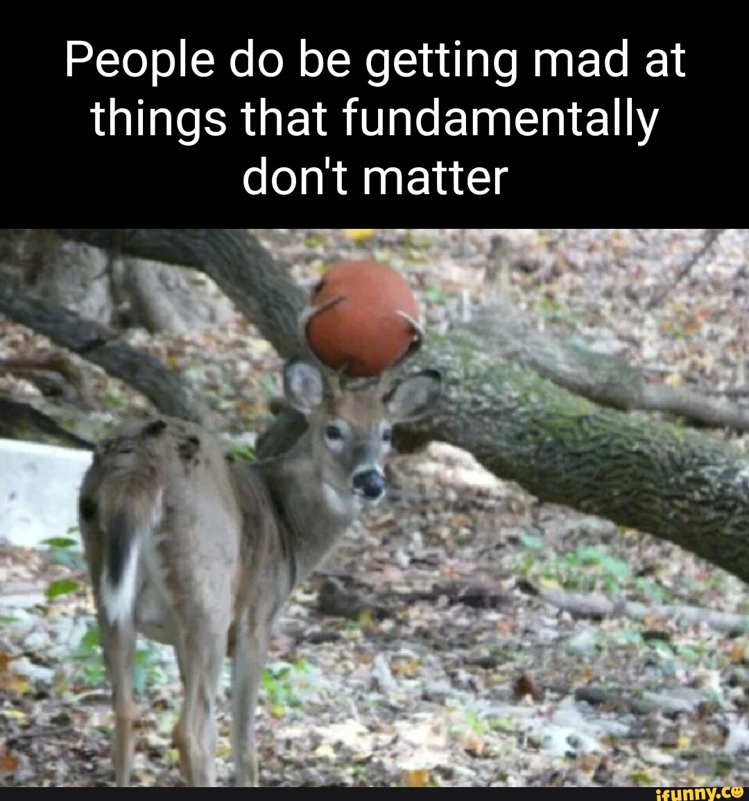 People do be getting mad at things that fundamentally don't matter I ...
