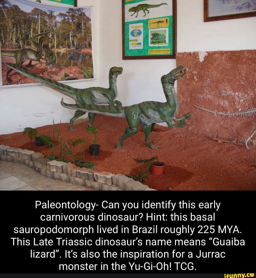 Sr Paleontology- Can you identify this early carnivorous dinosaur? Hint ...