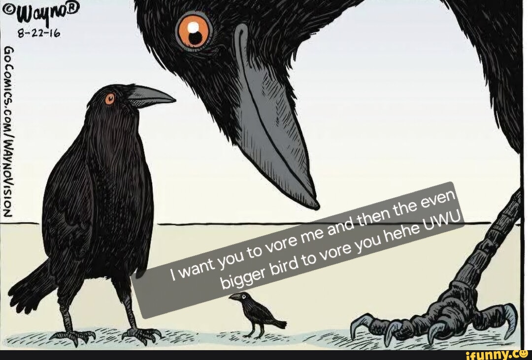 Crows memes. Best Collection of funny Crows pictures on iFunny