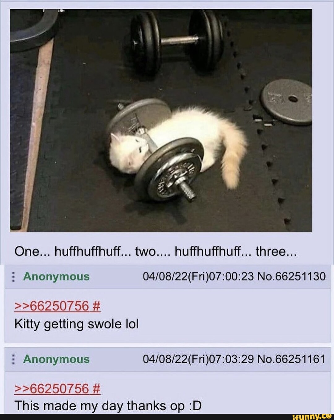 Swole memes. Best Collection of funny Swole pictures on iFunny