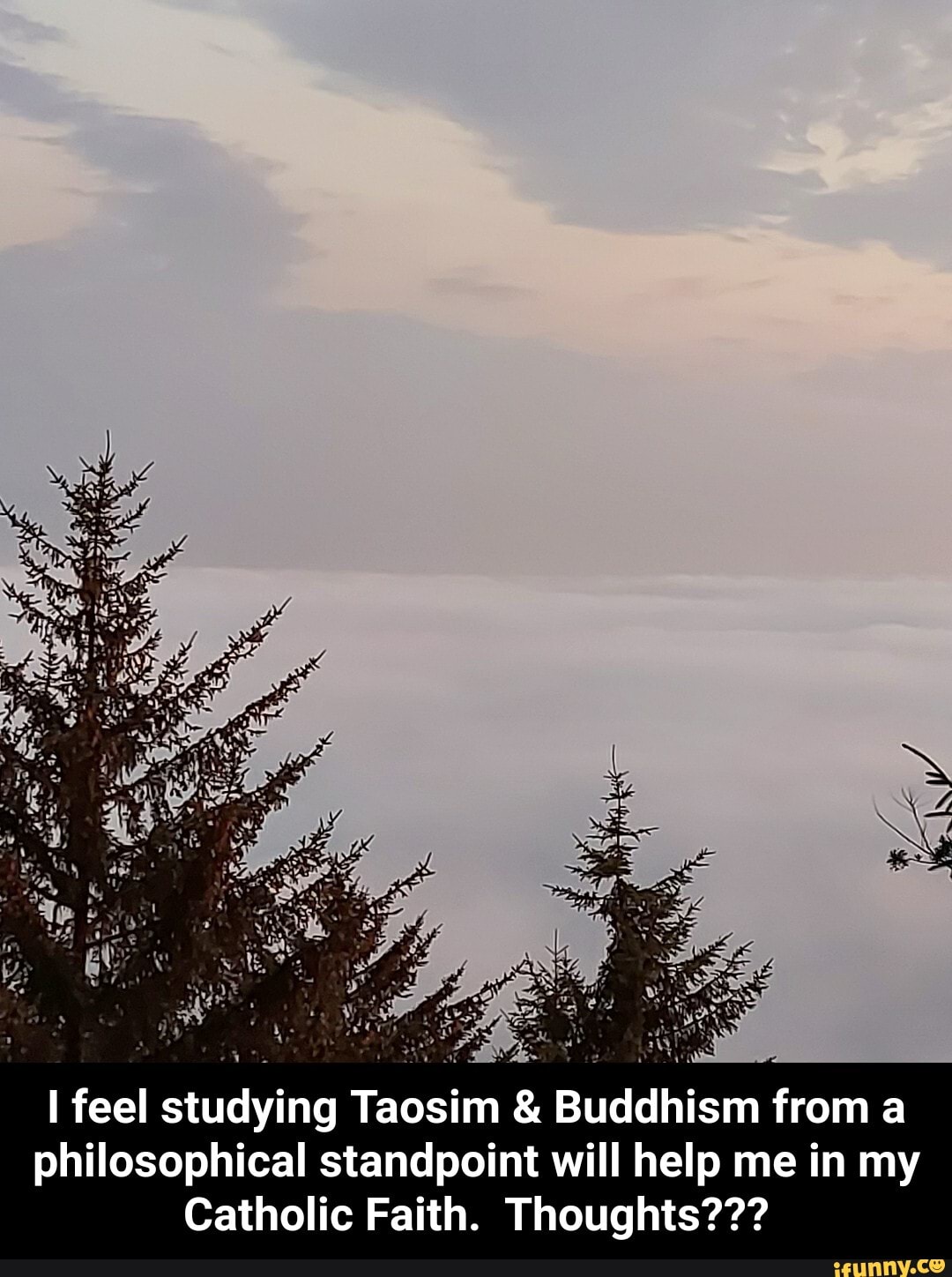 Taosim memes. Best Collection of funny Taosim pictures on iFunny