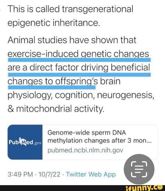 This is called transgenerational epigenetic inheritance. Animal studies ...