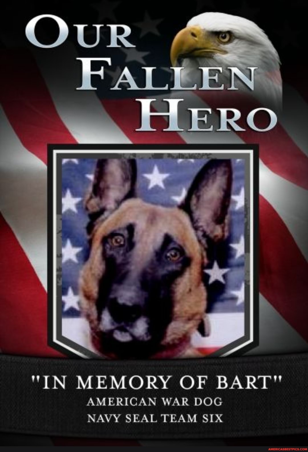 "IN MEMORY OF BART" AMERICAN WAR DOG NAVY SEAL TEAM SIX - America’s best pics and videos
