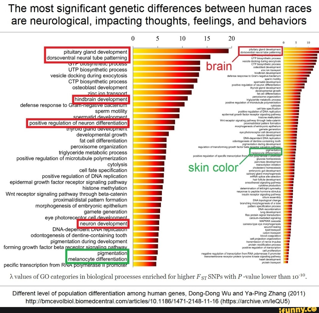 The most significant genetic differences between human races are ...