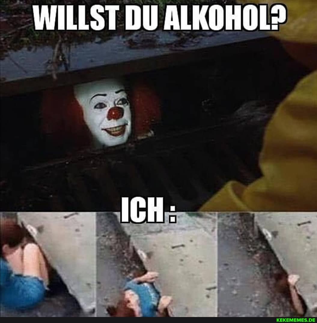 Wenn Ich Meine Stiefschwester In Der Waschmaschine Stecken Sehe Meme