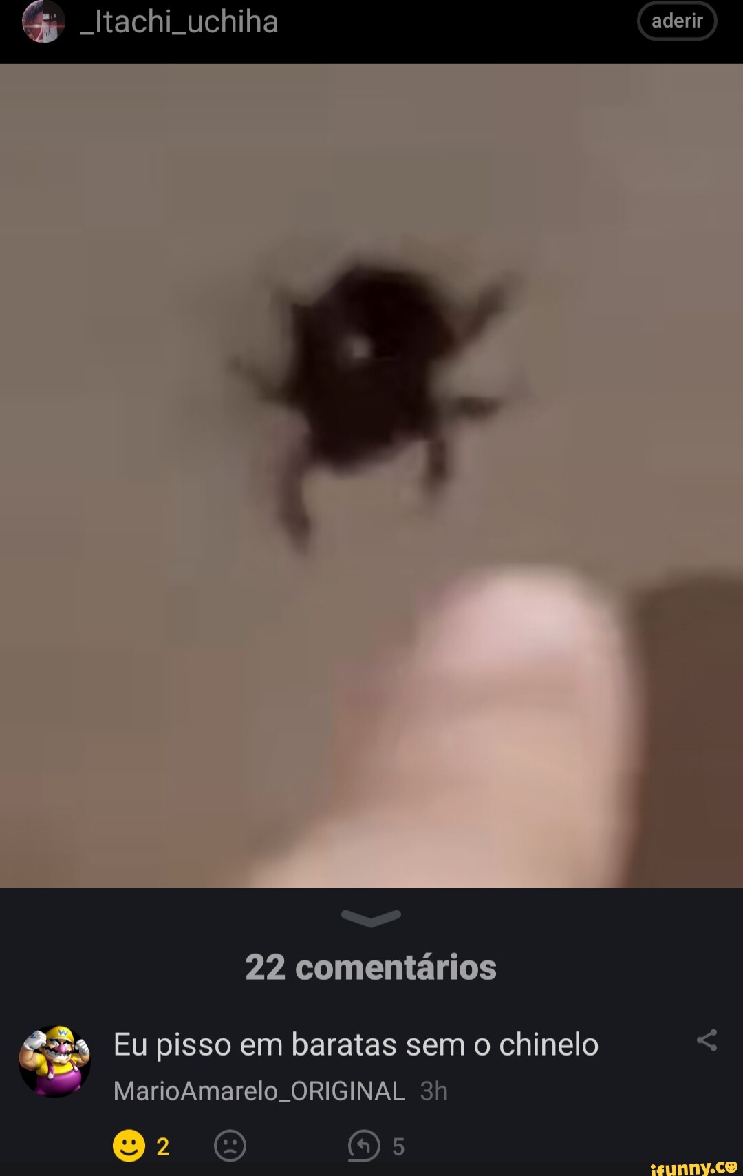 Chinelo memes. Best Collection of funny Chinelo pictures on iFunny Brazil