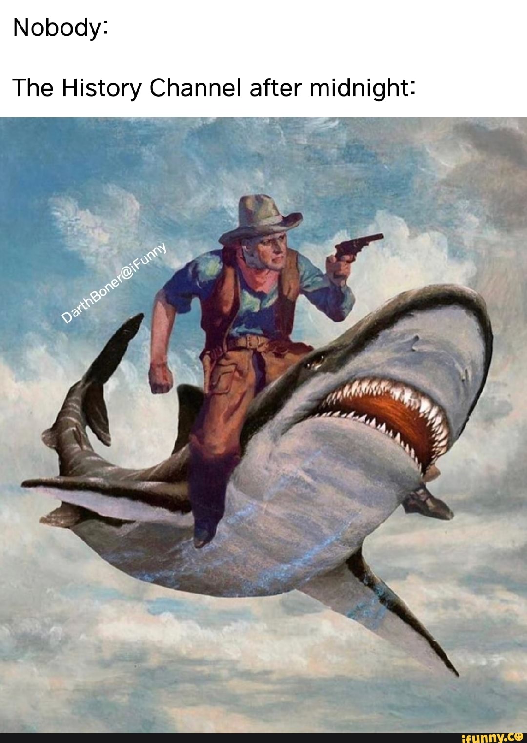 Nobody: The History Channel after midnight: - iFunny