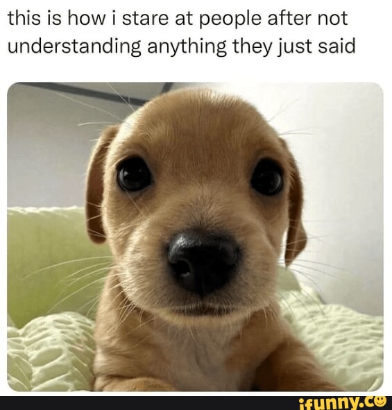 Staring memes. Best Collection of funny Staring pictures on iFunny