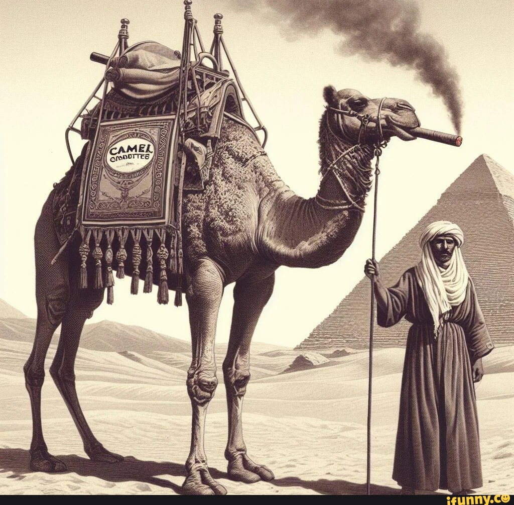 Camel memes. Best Collection of funny Camel pictures on iFunny
