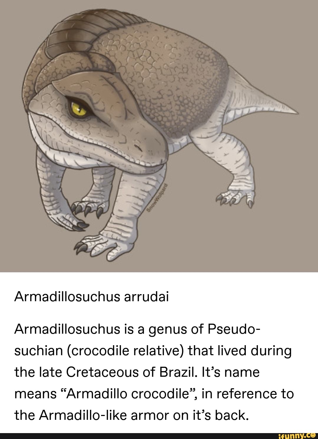 Armadillosuchus is a genus of Pseudo- suchian (crocodile relative) that ...