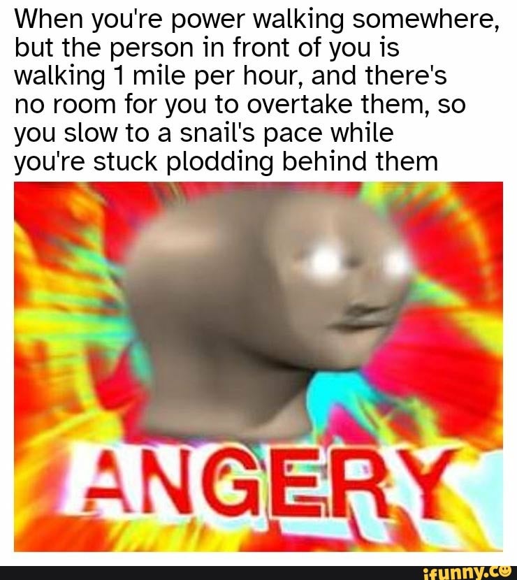 Plodding memes. Best Collection of funny Plodding pictures on iFunny