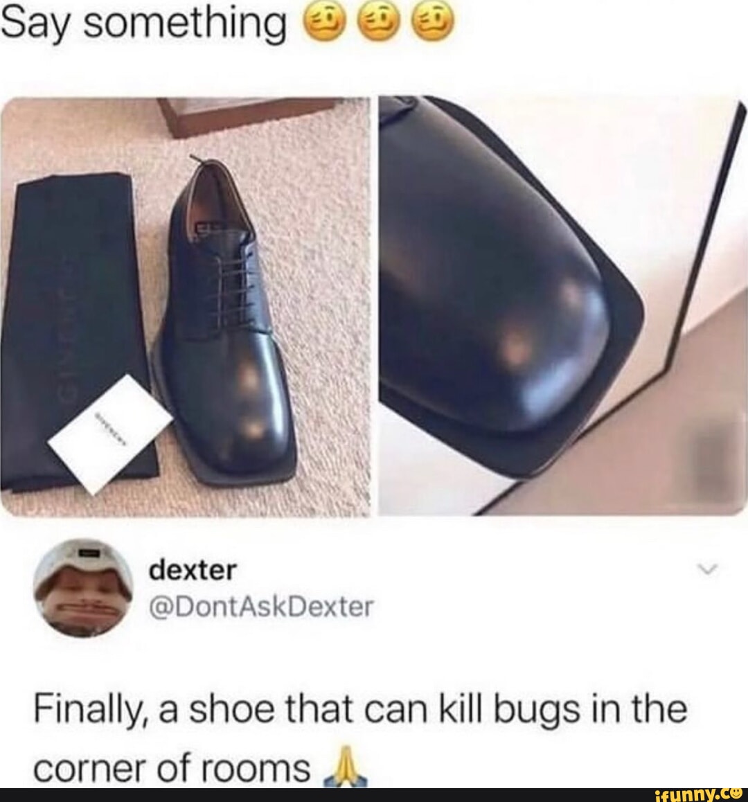 Say something dexter Finally, shoe that can kill bugs in the corner of ...