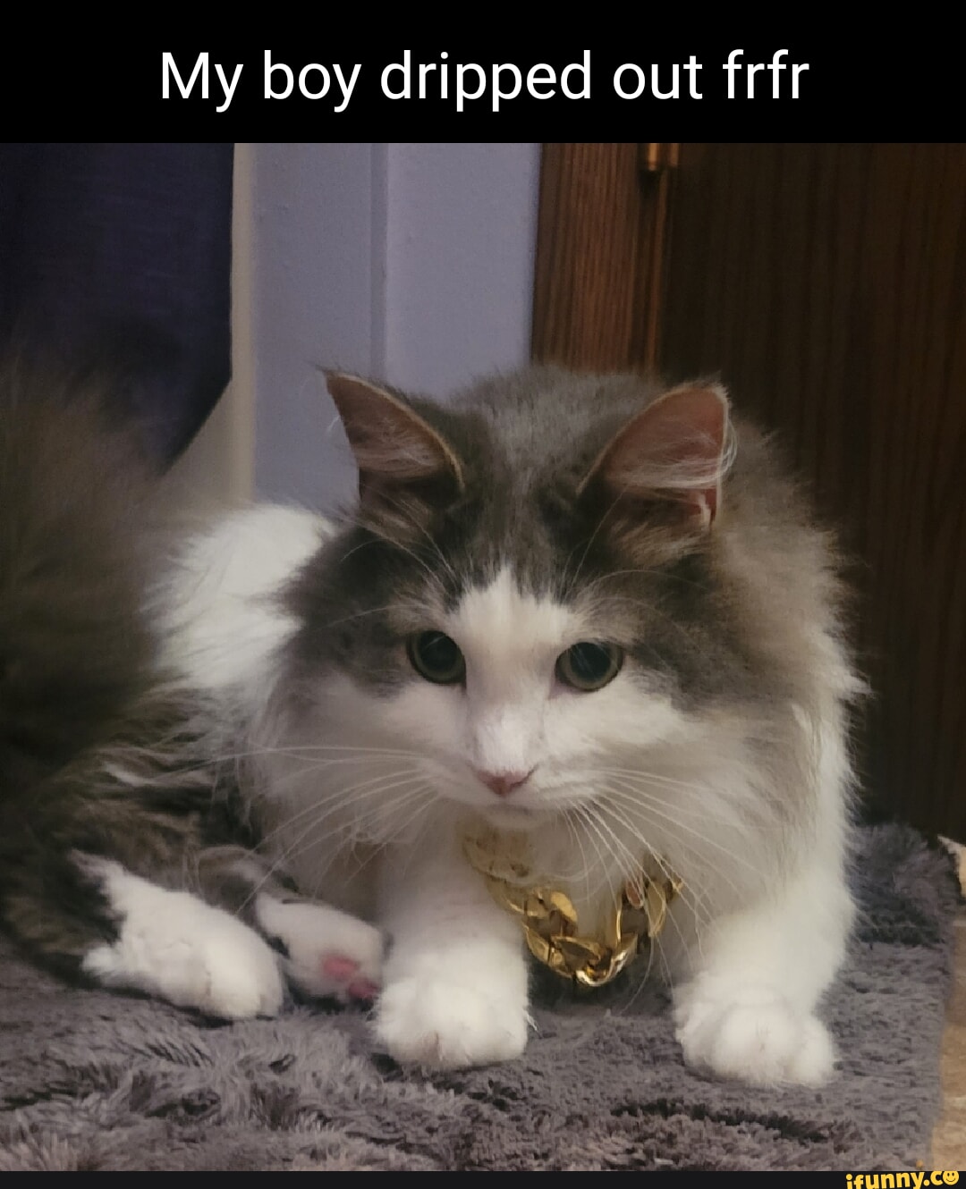 After 12 days of isolation with the other half - iFunny