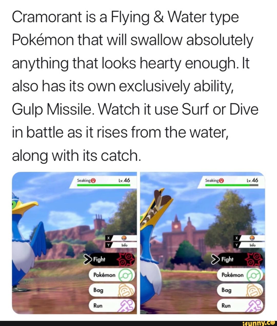 Cramorant is a Flying & Water type Pokémon that will swallow absolutely ...