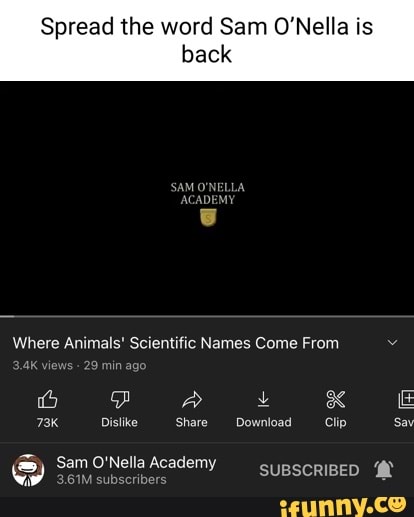 Spread the word Sam O'Nella is back SAM O'NELLA ACADEMY Where Animals ...