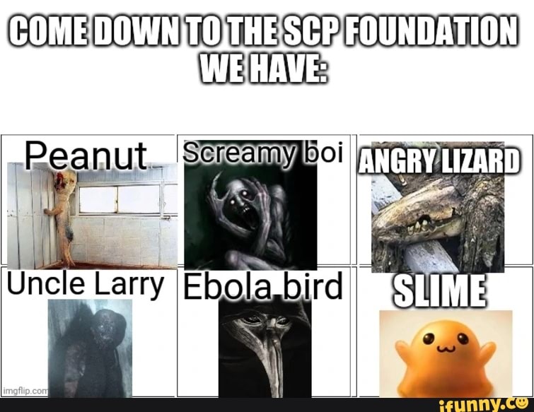 COME DOWN TO SCP. FOUNDATION WE HAVE: Larry - iFunny