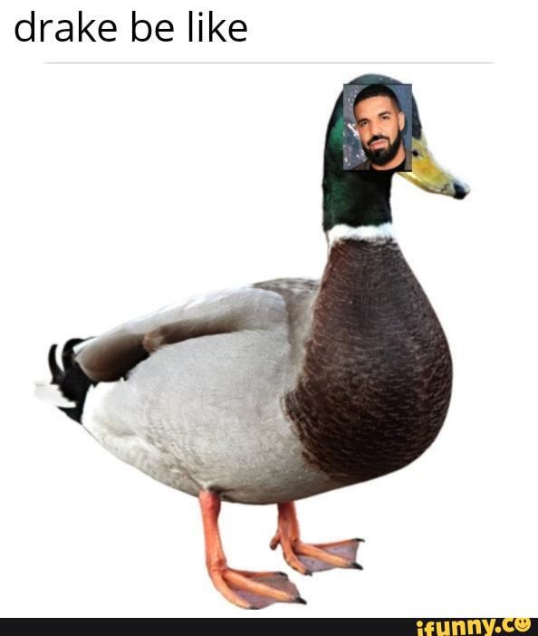Drake be like - iFunny