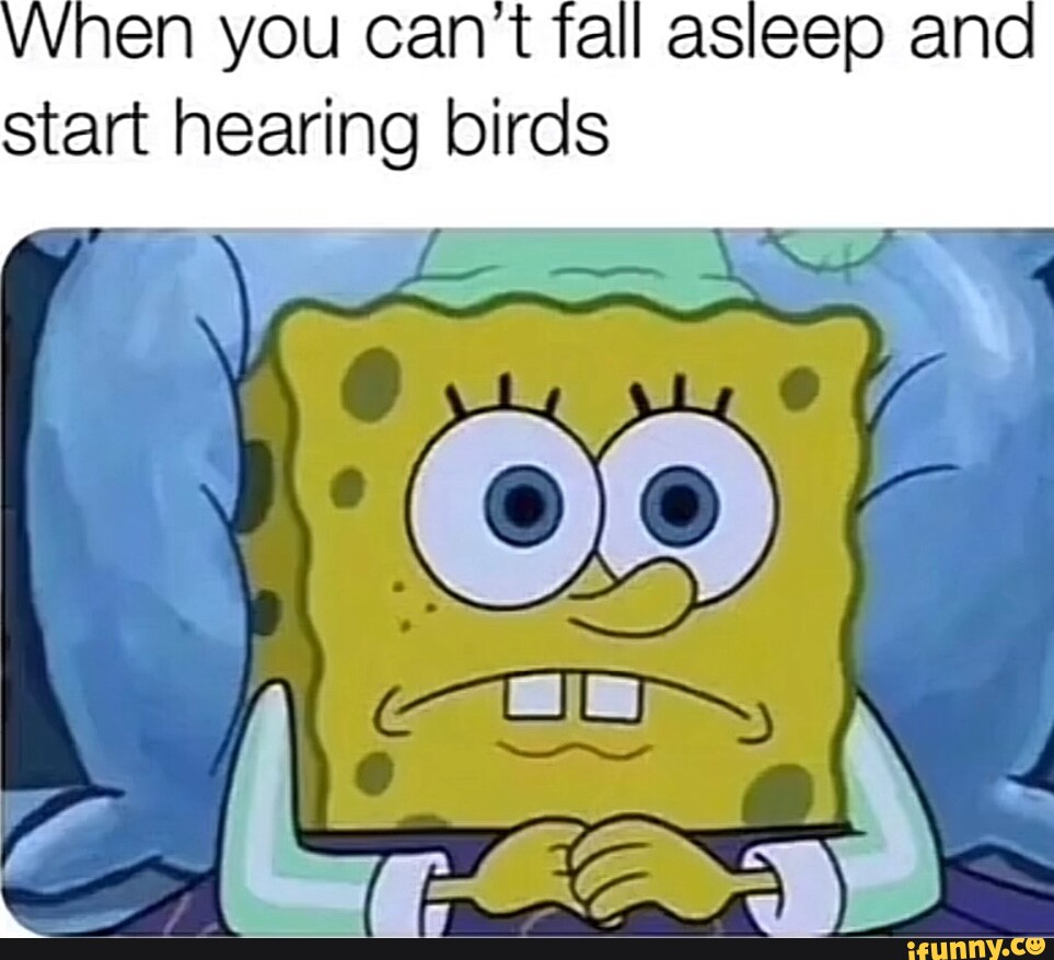 Cant Fall Asleep Meme