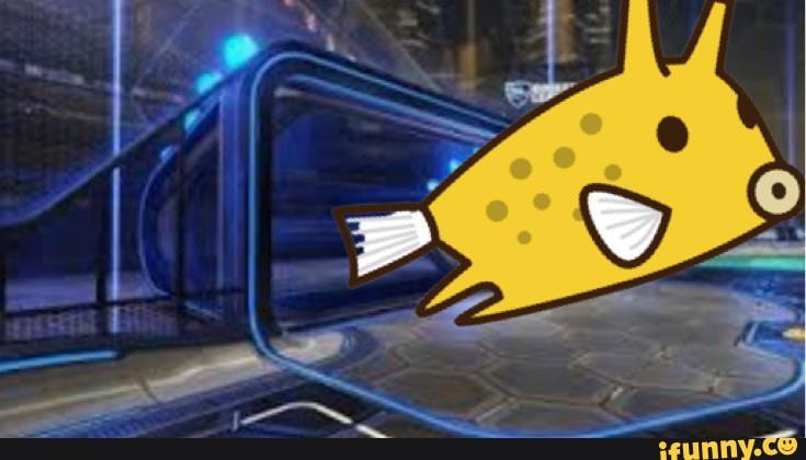 Cowfish memes. Best Collection of funny Cowfish pictures on iFunny