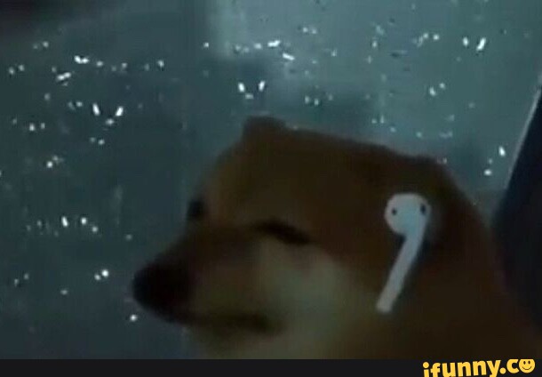 Chems memes. Best Collection of funny Chems pictures on iFunny