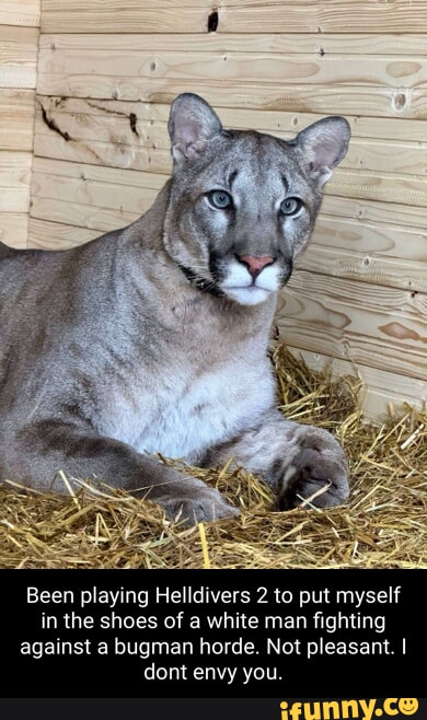 Bugman memes. Best Collection of funny Bugman pictures on iFunny