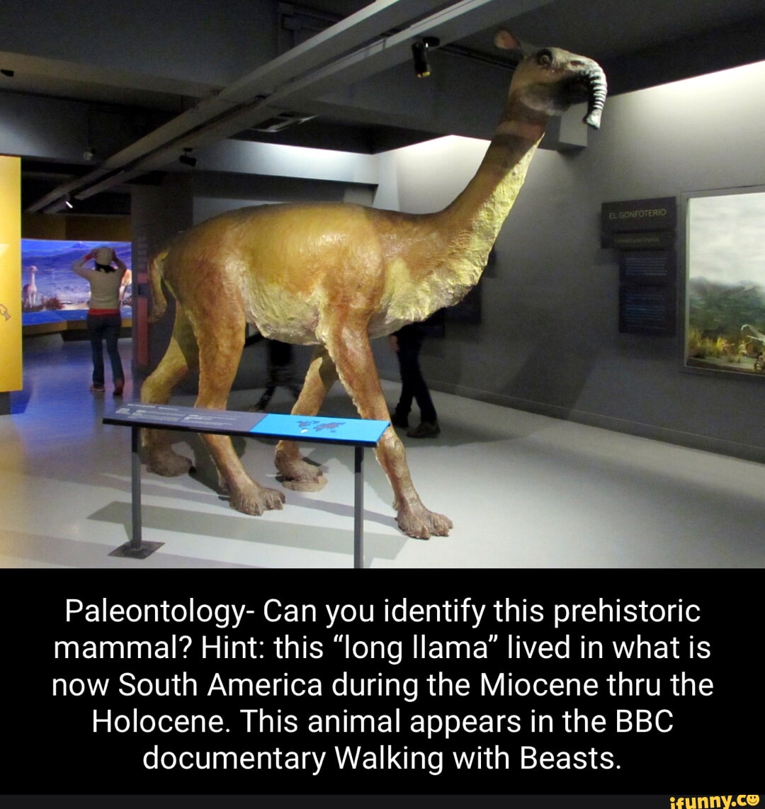 Walking With Beasts Macrauchenia