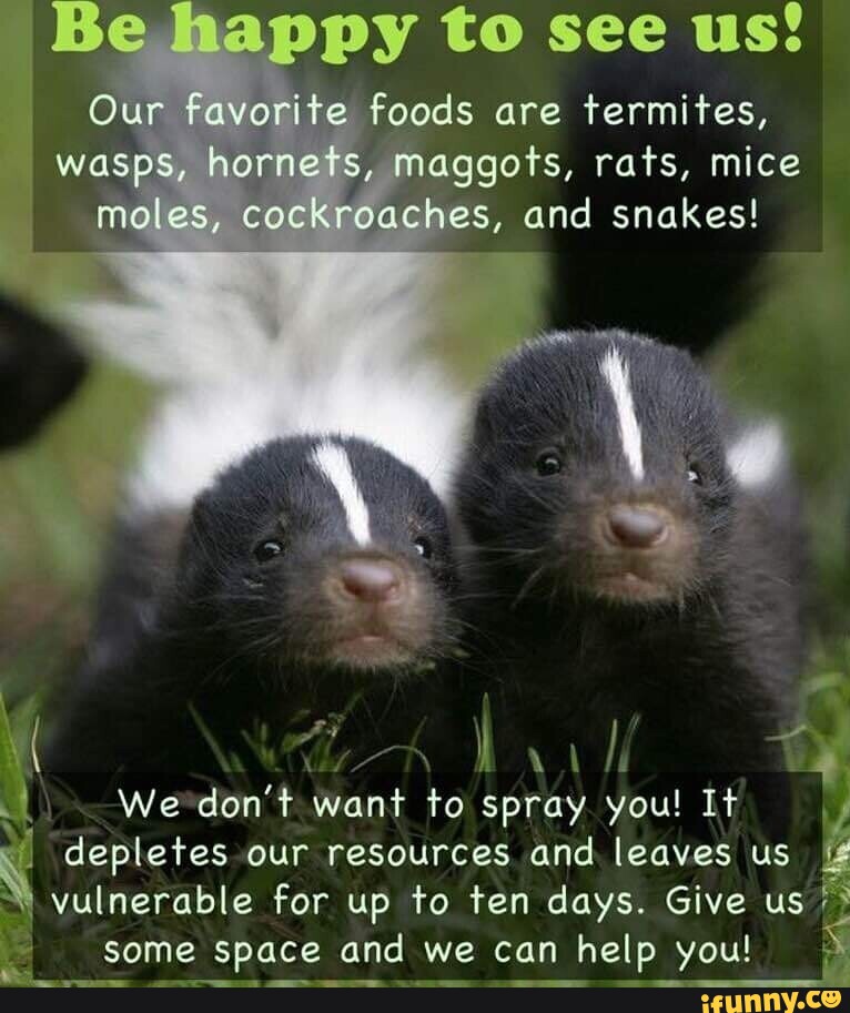 Ppy to see us! Our favorite foods are termites, wasps, hornets, maggots ...