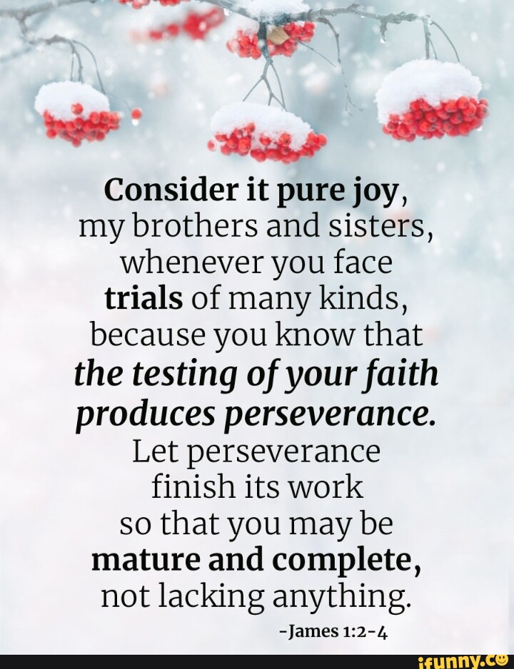 Consider It Pure Joy