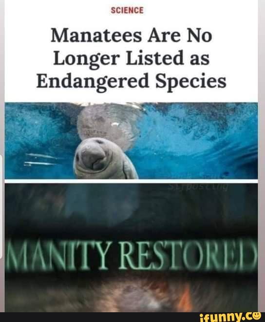 Endangered_species memes. Best Collection of funny Endangered_species ...