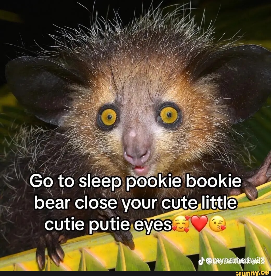 Bookie memes. Best Collection of funny Bookie pictures on iFunny