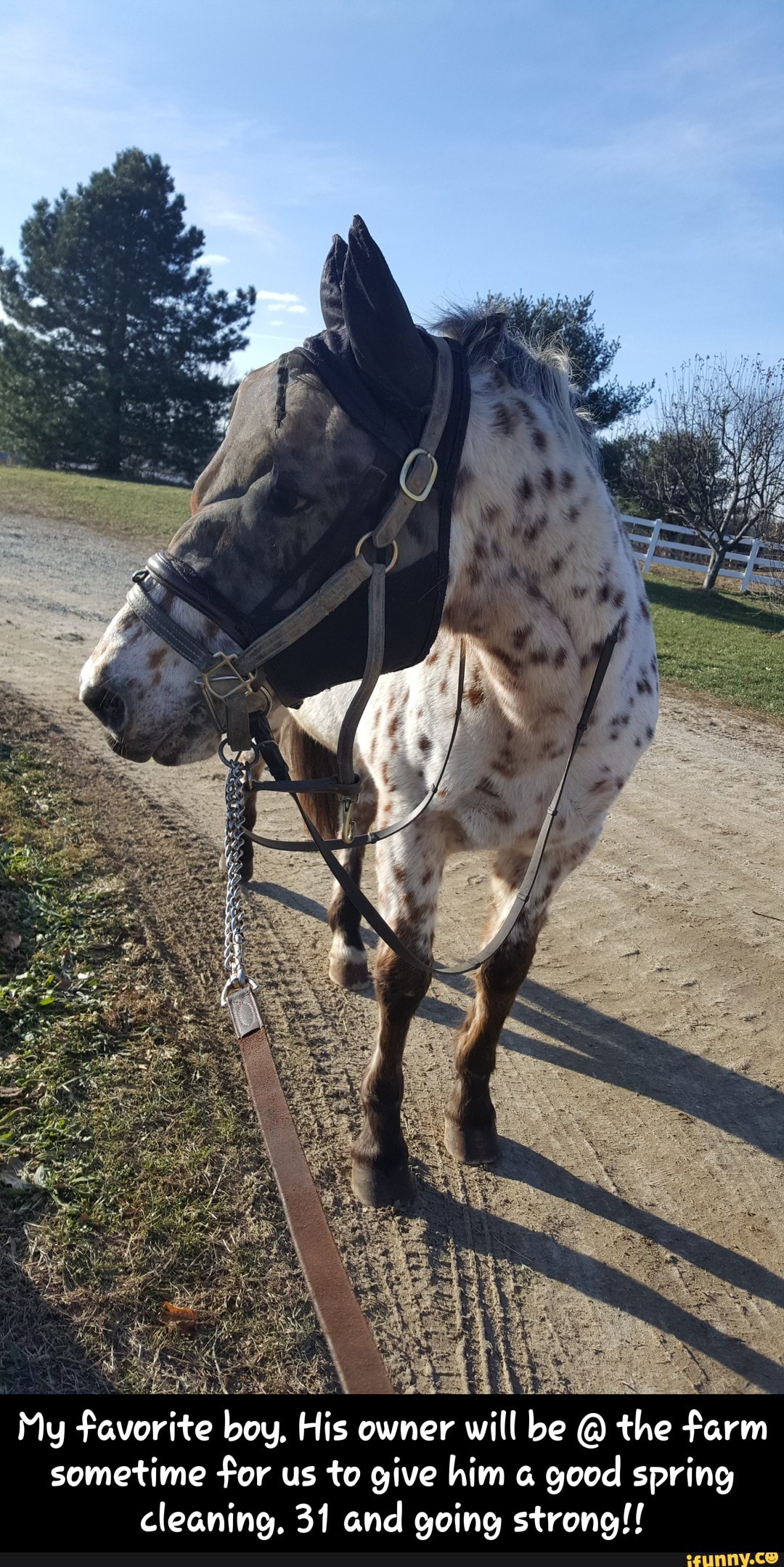 Uveitis memes. Best Collection of funny Uveitis pictures on iFunny