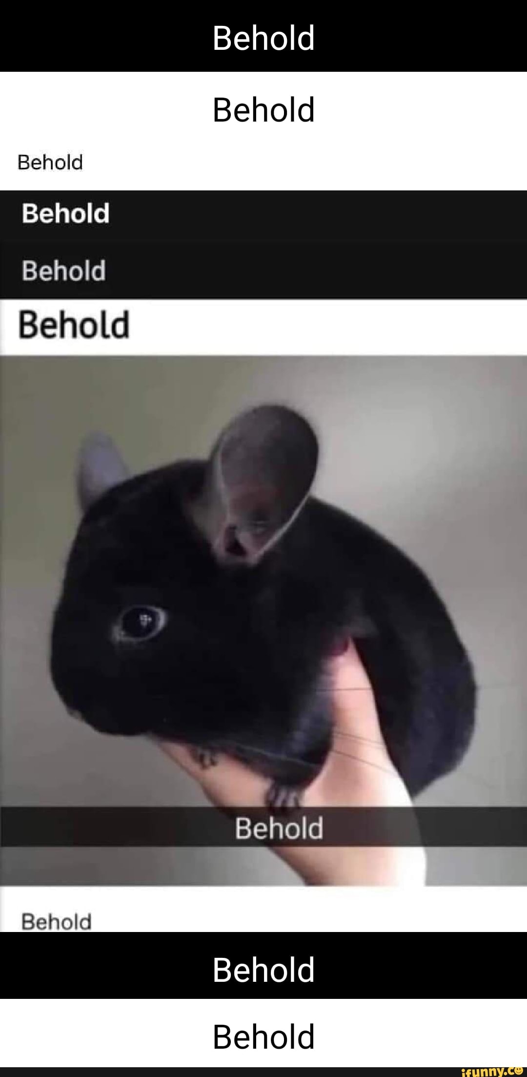 Behold Behold Behold Behold Behold Behold Behold Behold Behold Behold ...