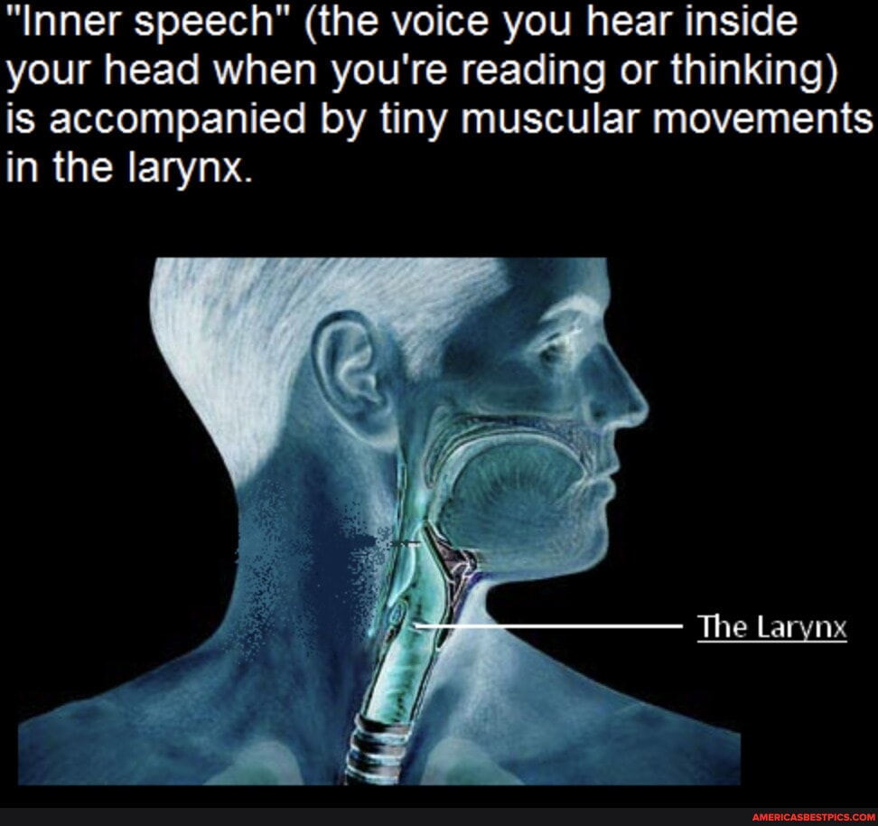 "Inner speech" (the voice you hear inside your head when you're reading ...
