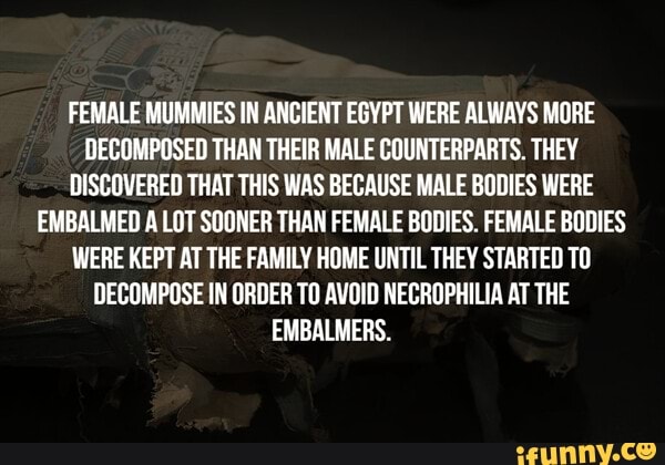 FEMALE MUMMIES IN ANCIENT EGYPT WERE ALWAYS MORE DECOMPOSED THAN THEIR ...