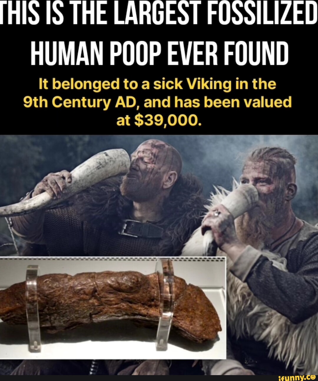 THIS THE LARGEST FOSSILIZED HUMAN POOP EVER FOUND It belonged to a sick ...