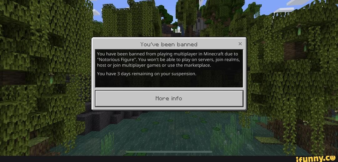 You've banned You have been banned from playing multiplayer in ...