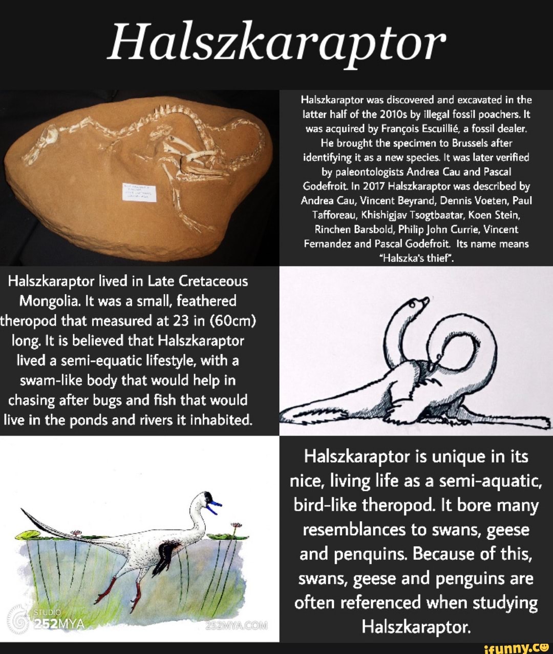 Halszkaraptor Halszkaraptor was discovered and excavated in the latter ...