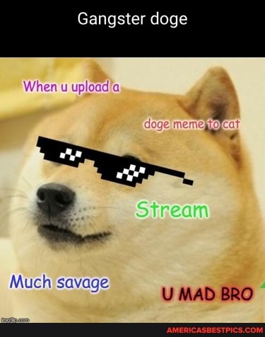 Gangster doge When u uploadia Much savage U MAD BRO - America’s best ...