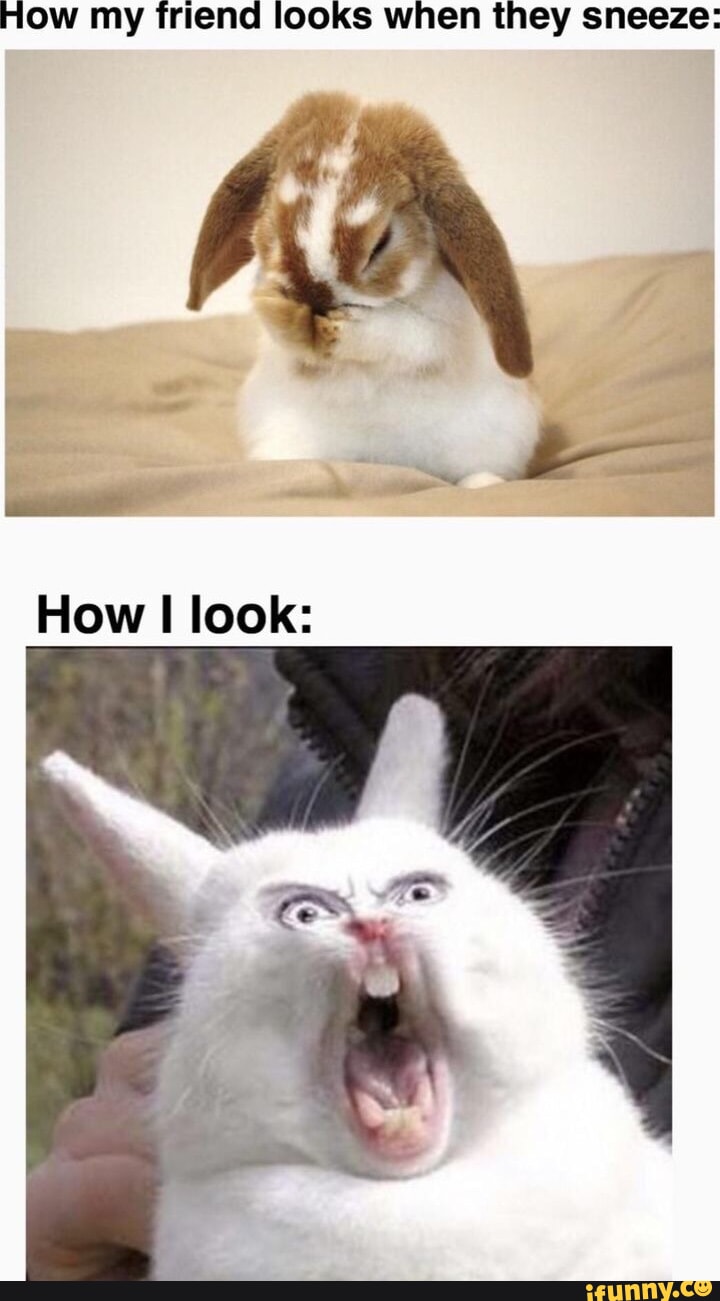 How my triend looks when they sneeze: How I look: - iFunny