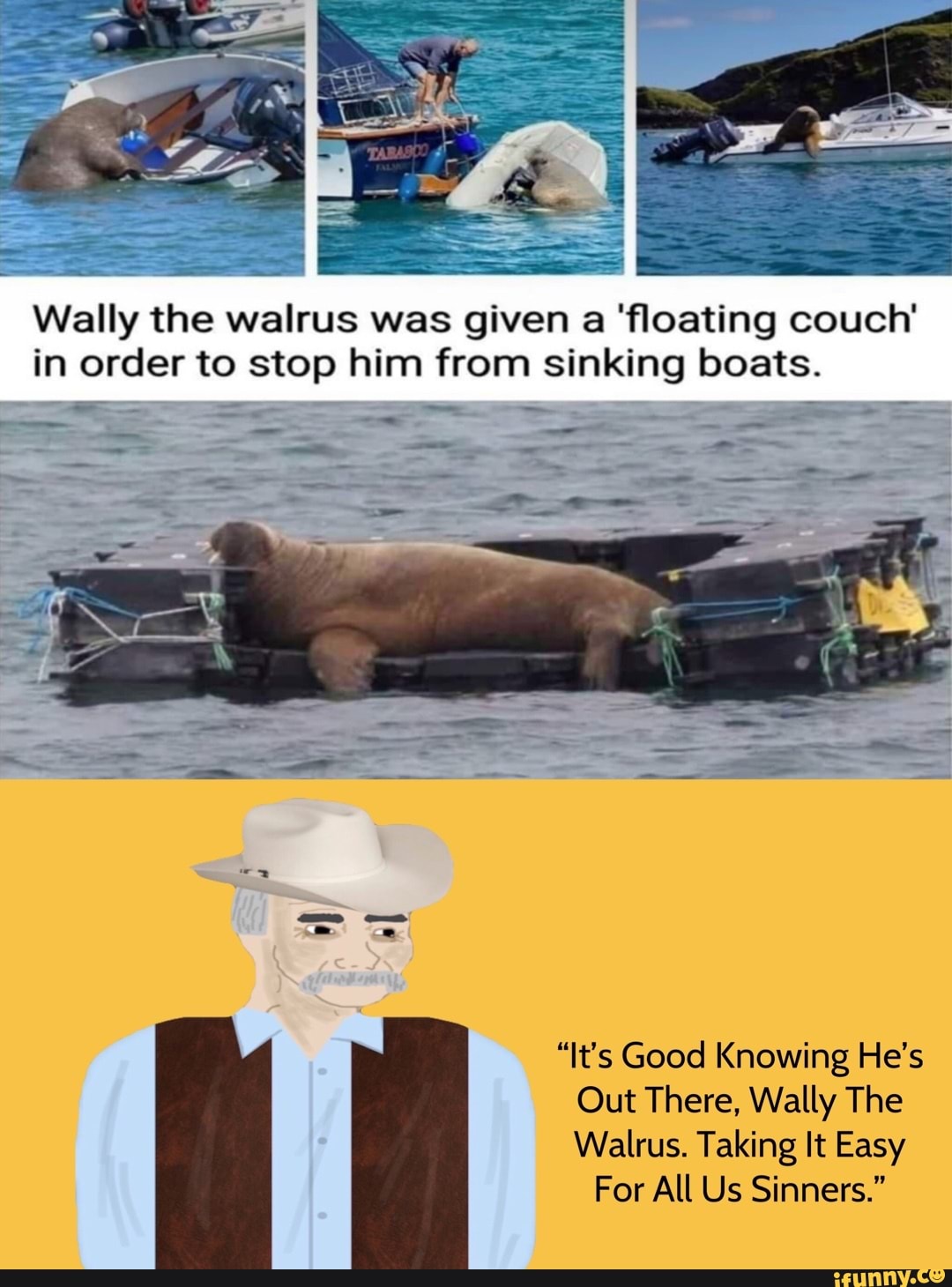 Wally the walrus was given a 'floating couch' in order to stop him from ...