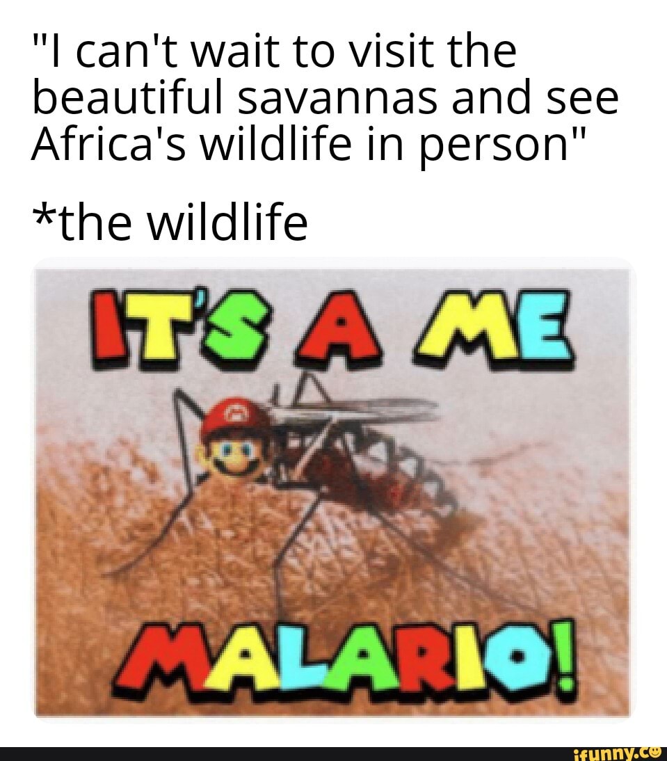 Savannas memes. Best Collection of funny Savannas pictures on iFunny